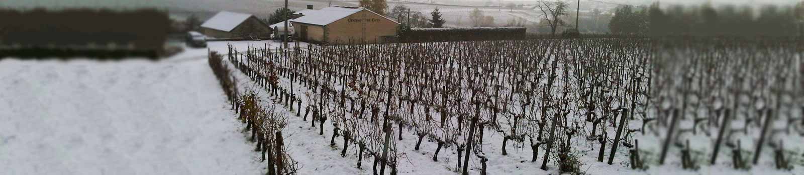 Château de Cots - Côtes de Bourg - Organic wine
